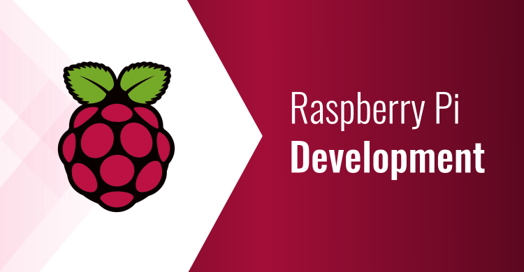 Raspberry Pi App Development | OZVID Technologies